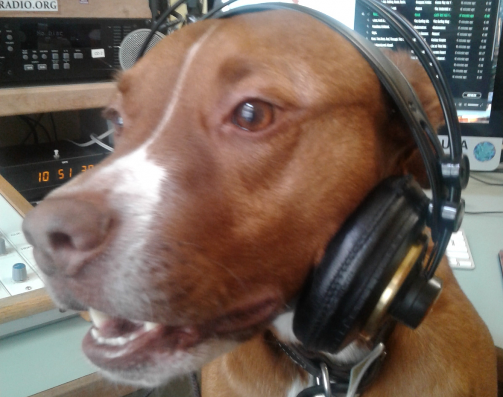Pacifica Welcomes KBMF-LP: Community Radio Built by Butte - Pacifica ...